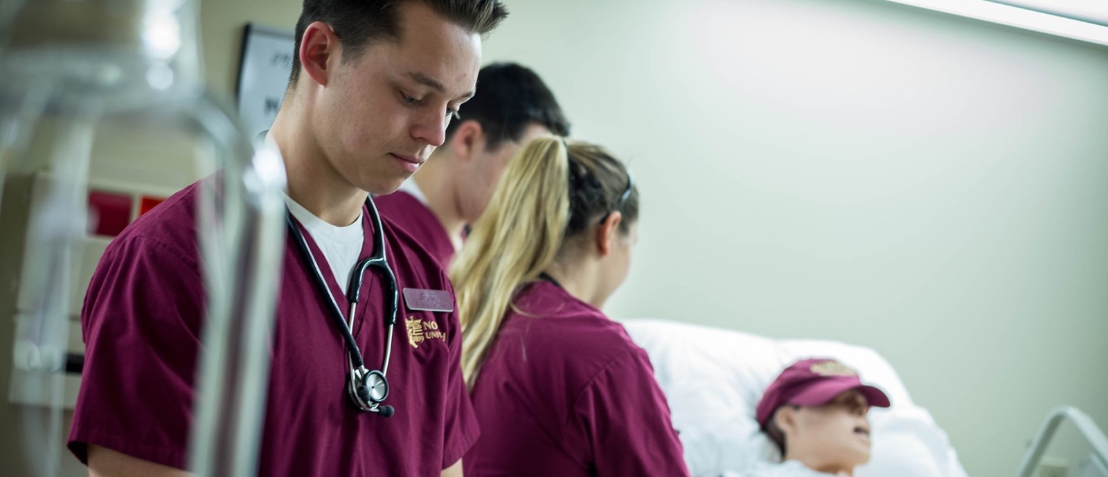 Master of Science in Nursing | Norwich University - Online