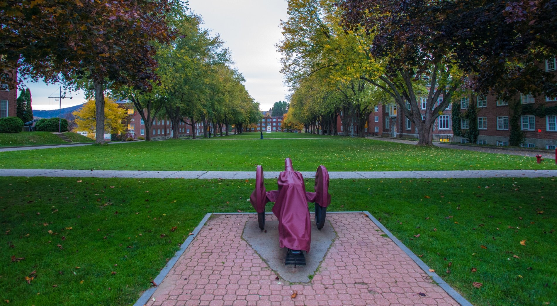 Welcome Back | Norwich University - Online